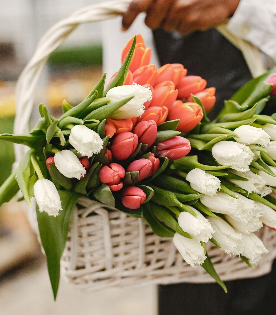 Exploring the Universal Language of Flowers – ART Flowers LA