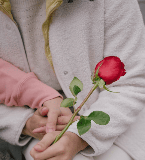 First Date Flower Guide: Choosing the Perfect Blooms