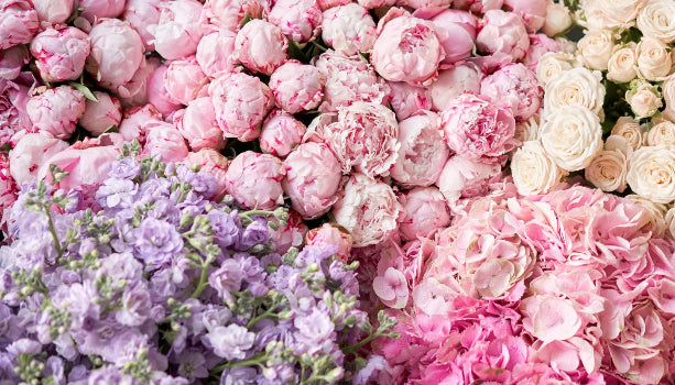 Los Angeles Florist | Same Day Flower Delivery in LA | Flower Shop